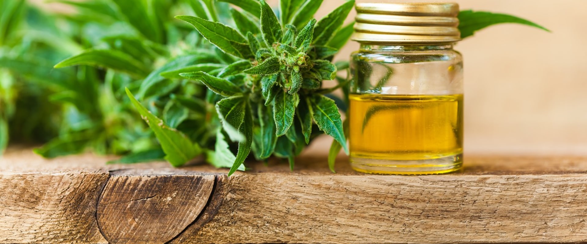 Is cbd addictive world health organization?