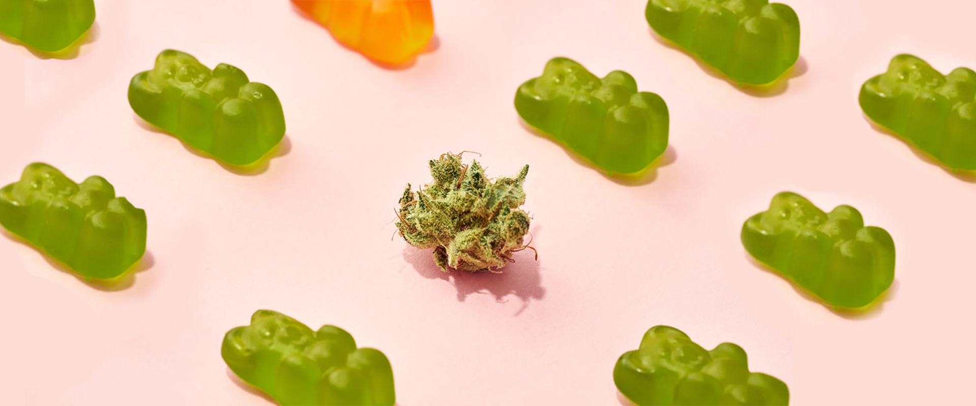 Everything You Need To Know About CBD Gummies