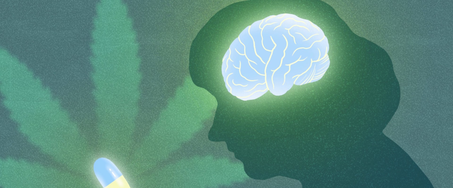 How cbd works in the brain?